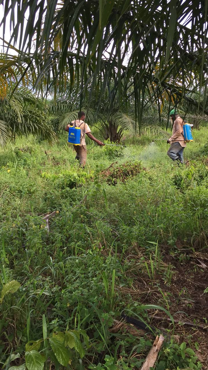 Ghanaman Farms & Oil Industries
