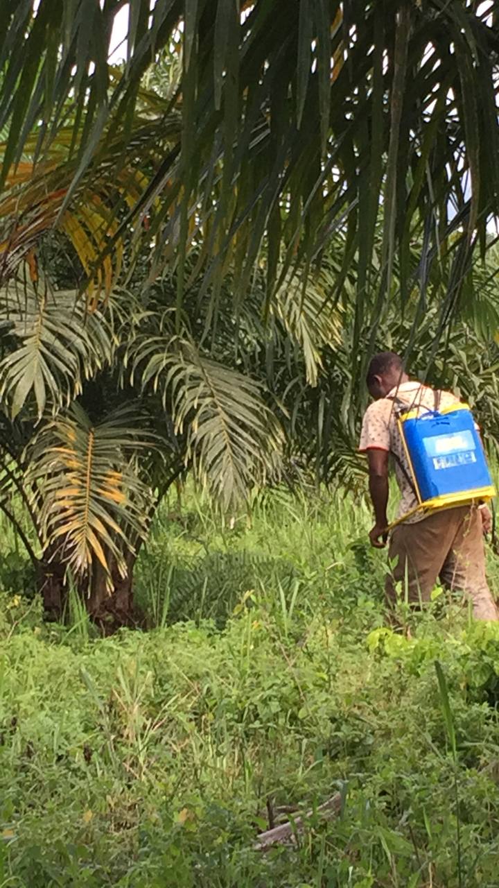 Ghanaman Farms & Oil Industries